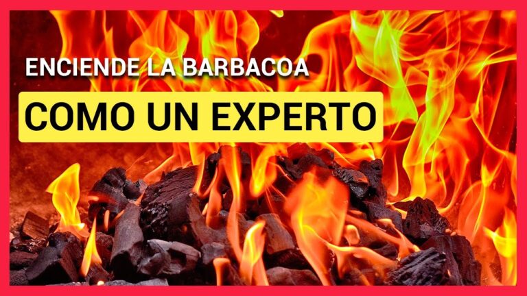 ¿Cuánto Tarda en Prender el Carbón? Guía Rápida y Consejos Útiles ...