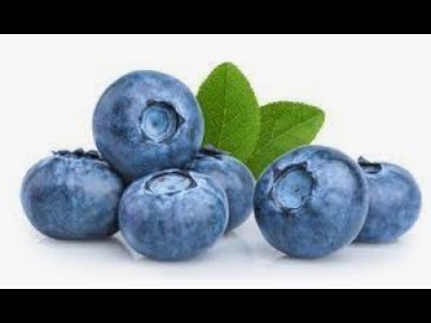 ¿De Qué Color Son los Arándanos? Descubre Todos sus Tonos y Variedades ...